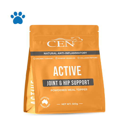CEN DOG ACTIVE – MSB-Int